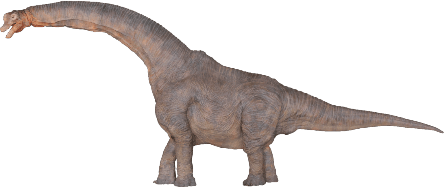 【恐竜ライブ「DINO SAFARI 2025」】ブラキオサウルスが渋谷ヒカリエ初上陸！ | KidZAURUS (キッザウルス)