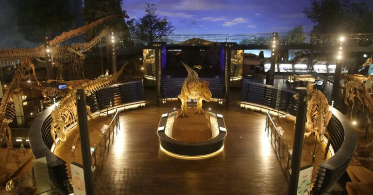 【大恐竜パーク in とちぎわんぱく公園】恐竜ロボットがおもちゃの町・壬生町に！ アプリでAR恐竜も | KidZAURUS (キッザウルス)