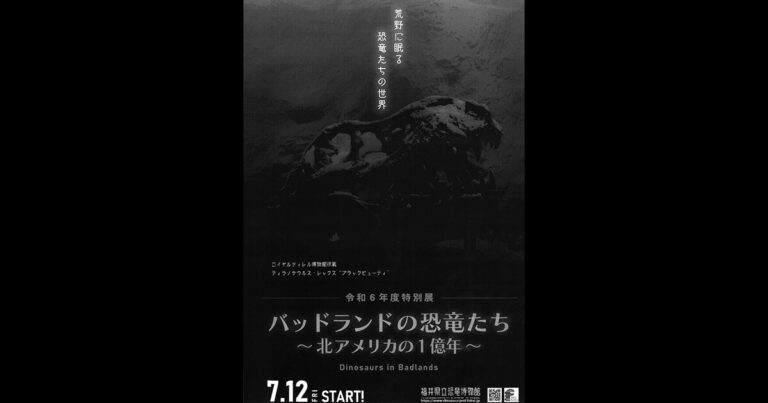 KidZAURUS (キッザウルス) | 恐竜好き子供向け最新【恐竜情報】サイト