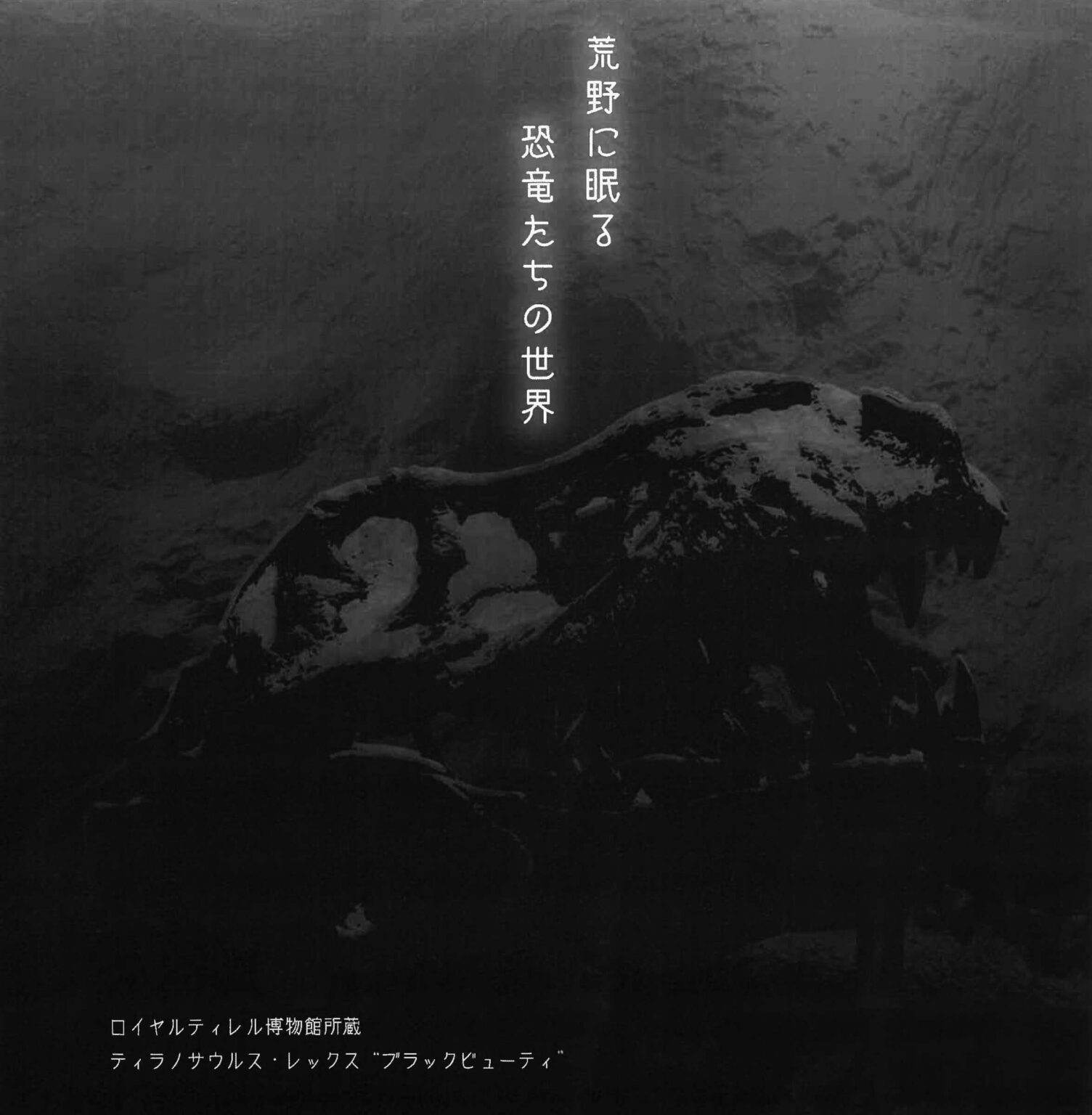 福井県立恐竜博物館 特別展【バッドランドの恐竜たち】ティラノサウルス「ブラックビューティー」実物頭骨！ | KidZAURUS (キッザウルス)