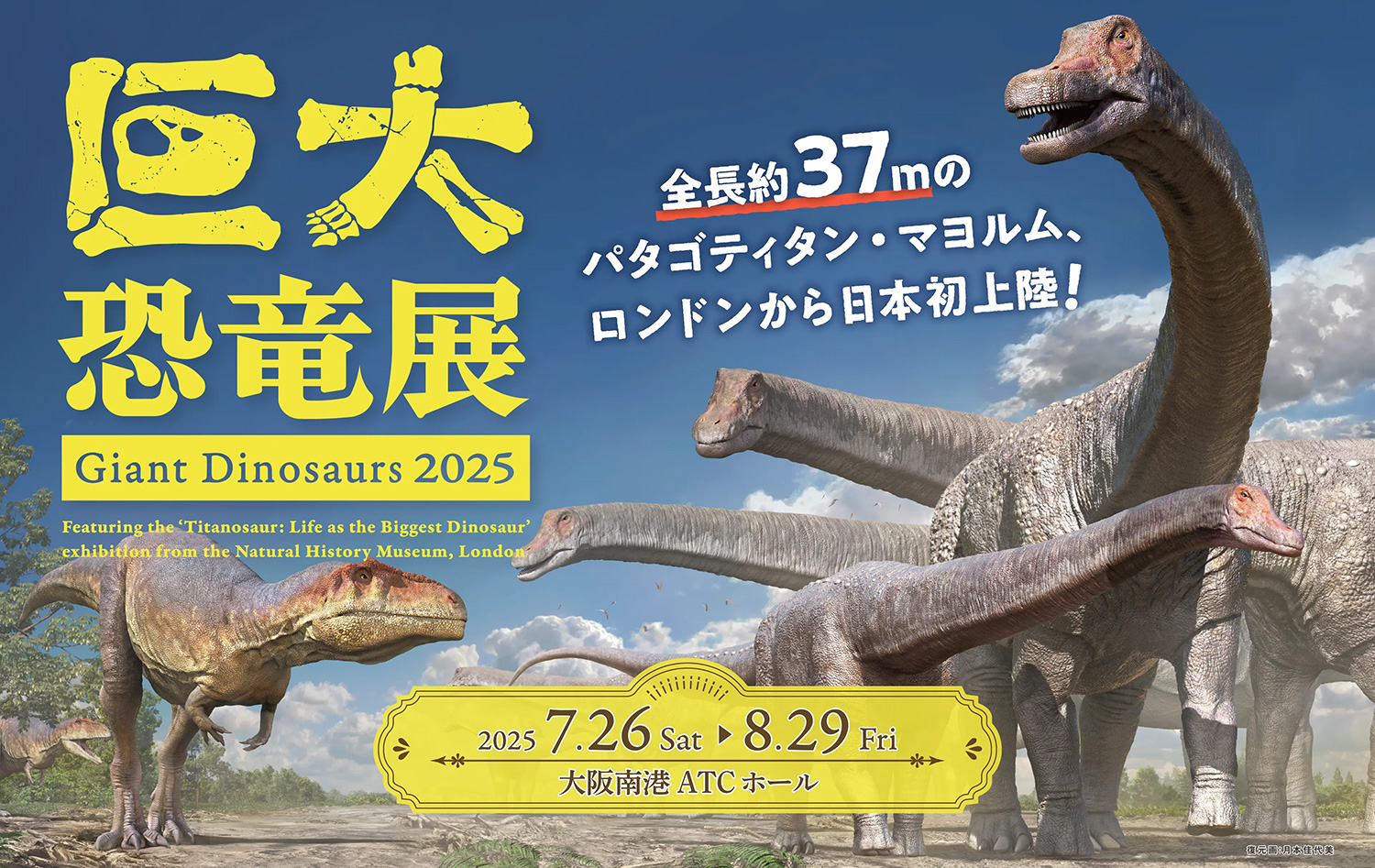 【巨大恐竜展 2025】全長約37mのパタゴティタンが、ロンドンから大阪に初上陸！ | KidZAURUS (キッザウルス)
