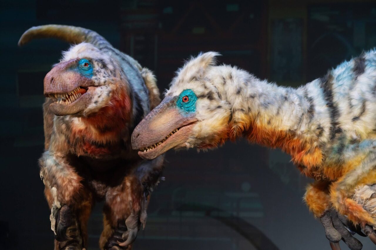 【恐竜ラボ！】大人気恐竜ショーが、2024～2025年に日本全国を巡回！ | KidZAURUS (キッザウルス)